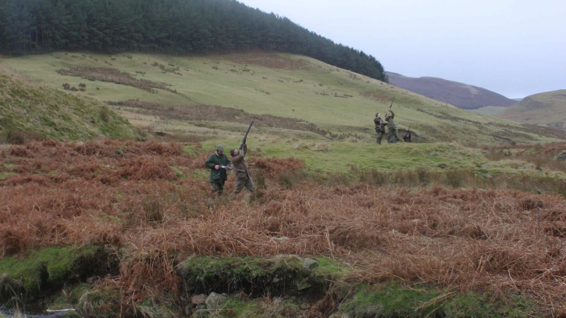 Einmaliges Jagdgebiet in Schottland | Melrose erleben