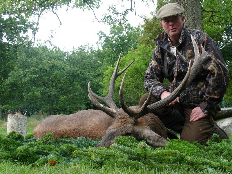 Jagd auf Rotwild auf einem Gut in Dänemark